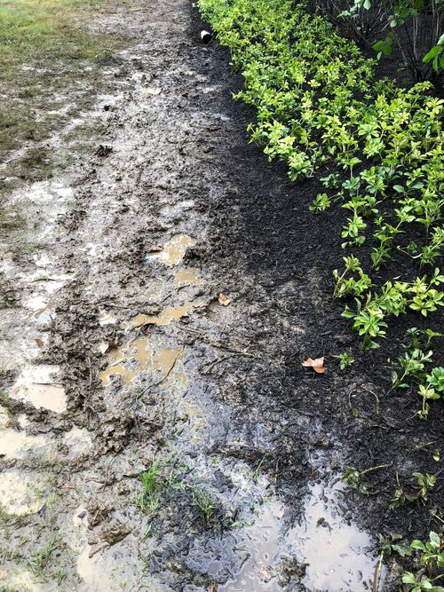 Mid-Atlantic Stormwater And Yard Drainage 101 | Terren Landscapes