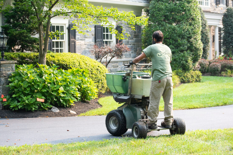 Landscape Maintenance 101: Standard Services | Terren Landscapes