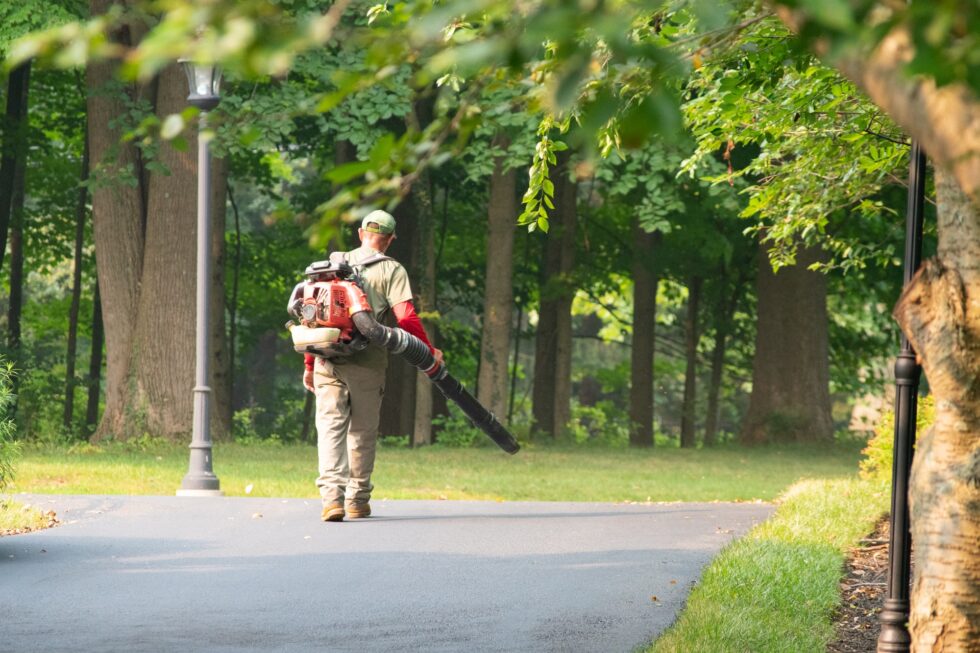 Landscape Maintenance 101: Standard Services | Terren Landscapes